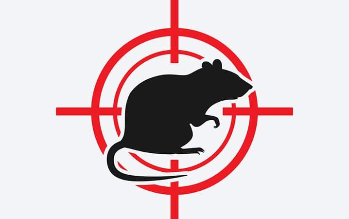 Rodent Control: Comprehensive Solutions for a Safer Environment - Eco ...